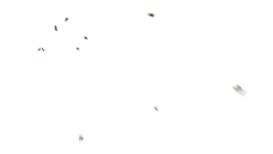 Bullet Case Ejection 9mm Burst 1 Effect | FootageCrate - Free FX Archives