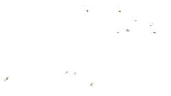Free Bullet Case Ejection 9mm Burst 2 Effect | FootageCrate - Free HD VFX