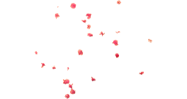 Falling Flower Petals 9 Effect | FootageCrate - Free FX Archives