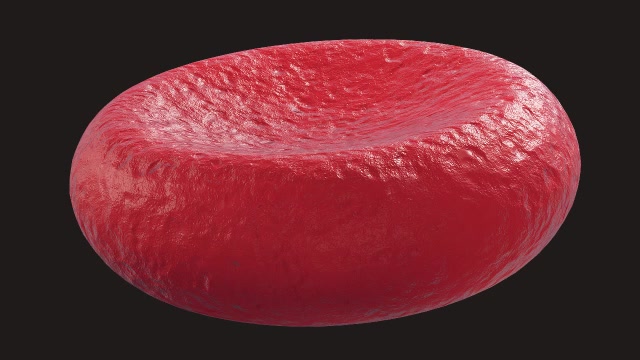 Red Blood Cell 3D Model (Free) // RenderCrate - HD 3D Objects